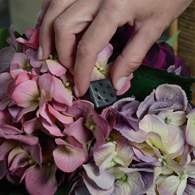 Security camera - Starlyf Security Cam